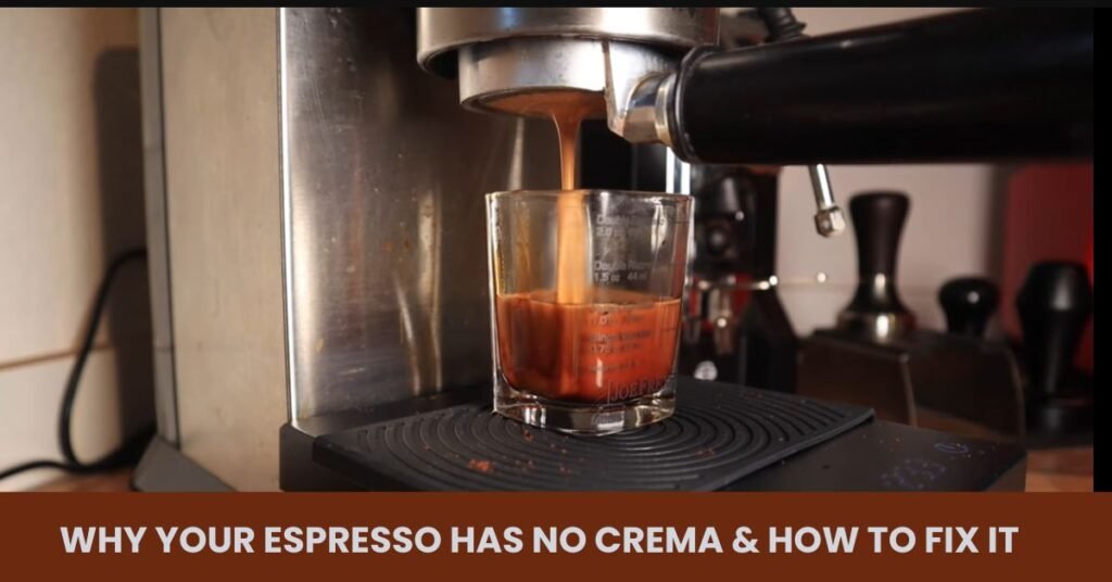 Why Your Espresso Has No Crema & How to Fix It - Manny's Gelato